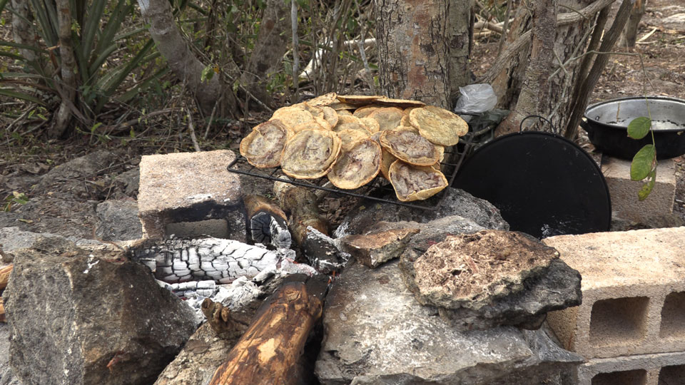 Yucatan Cenote | Wacko Taco