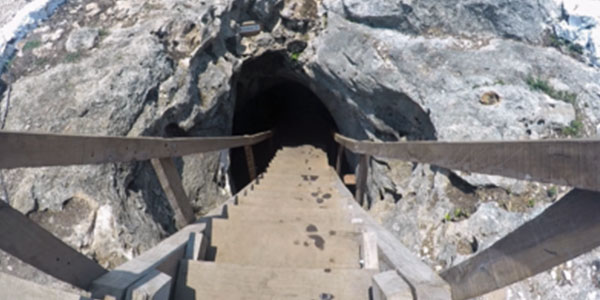 Cliff & Cavern - Yucatan Cenote